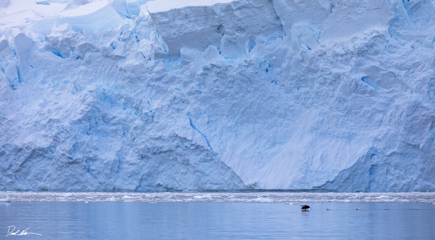 Frozen motion | Derek Nielsen Photography