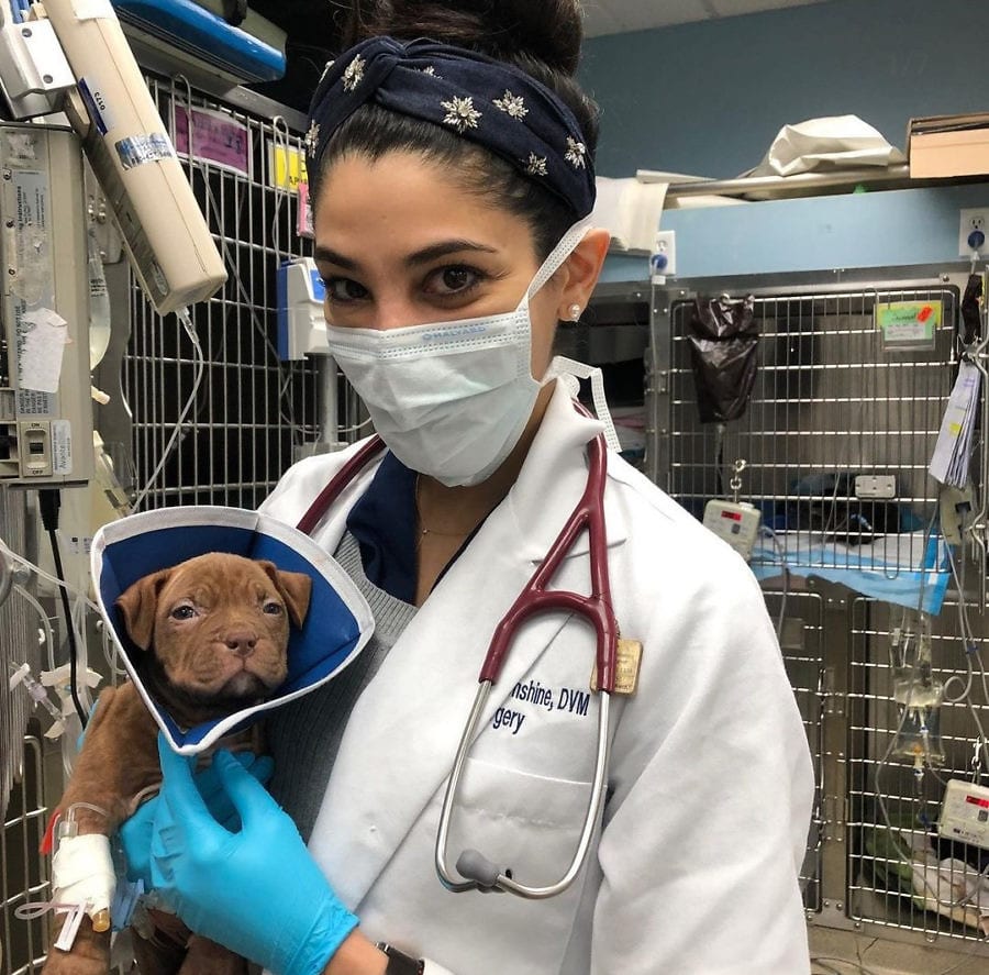 National Geographic's Dr. Gabby Wild