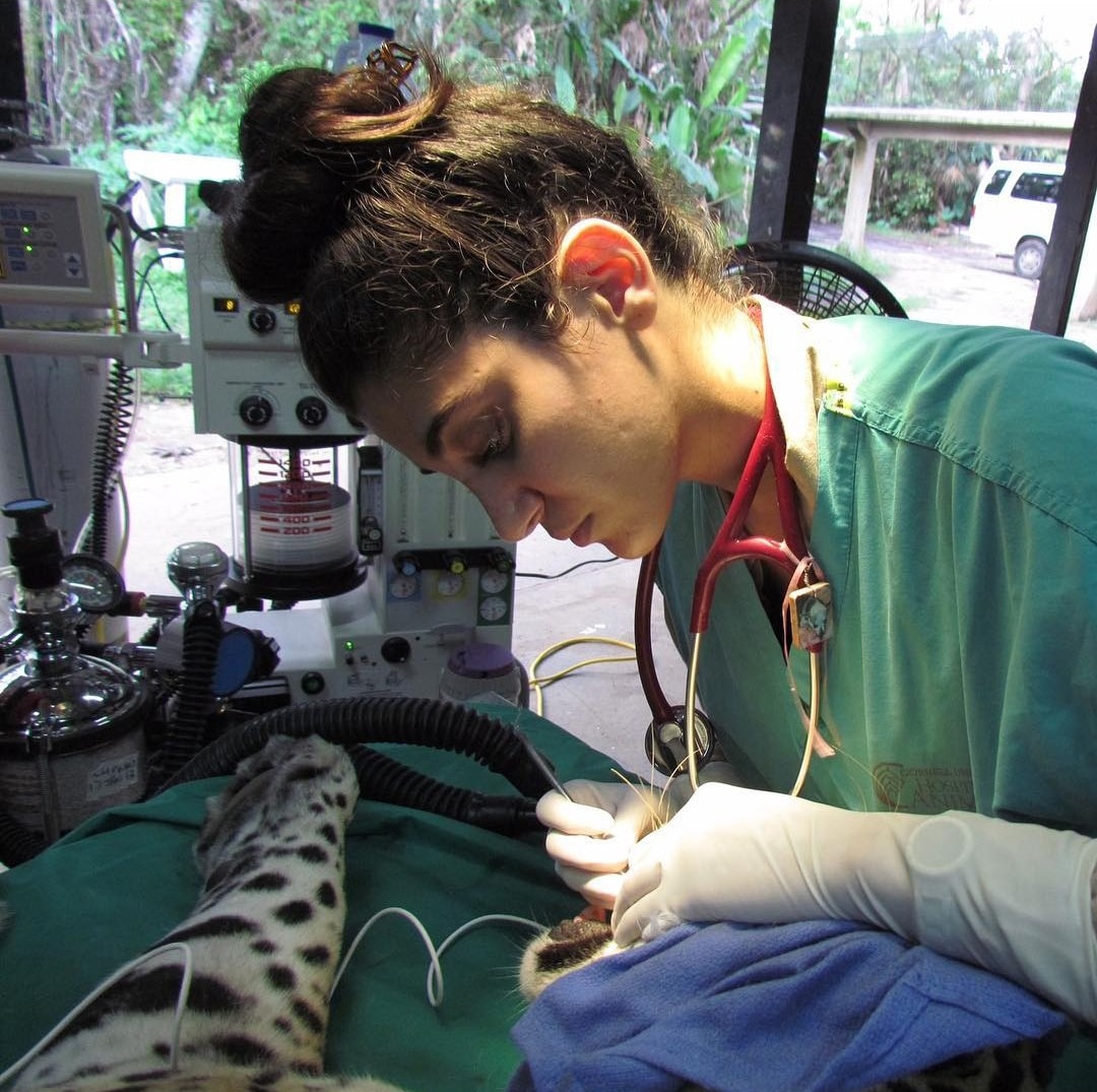 National Geographic's Dr. Gabby Wild