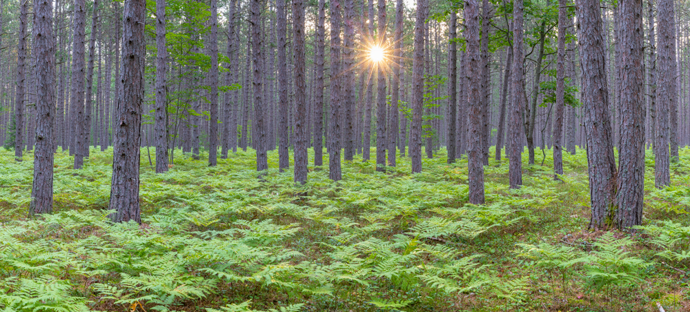 Peter Lik style photography | Phantom and more